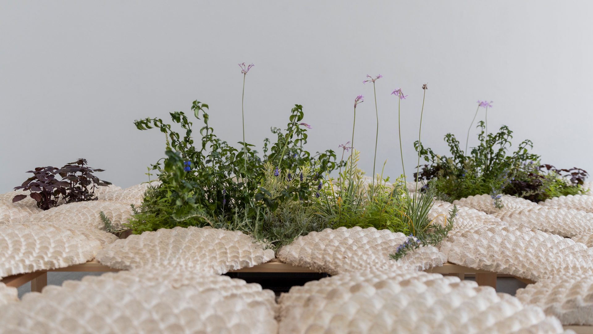 On Agro-waste, Innovation and Return | Mae-ling Lokko