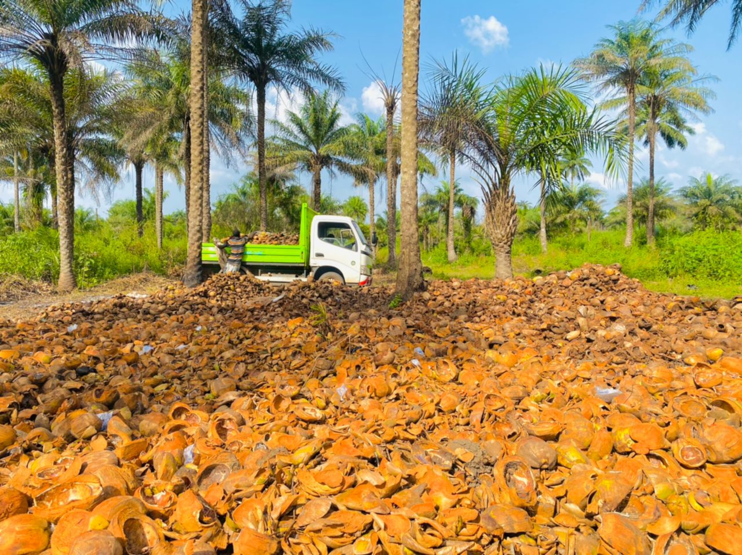 Local Problems, Local Solutions | Alhaji Siraj Bah | Rugsal Trading